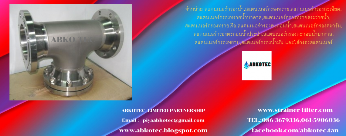 T Strainer Filter - www.strainer-filter.com www.strainer-filter.com