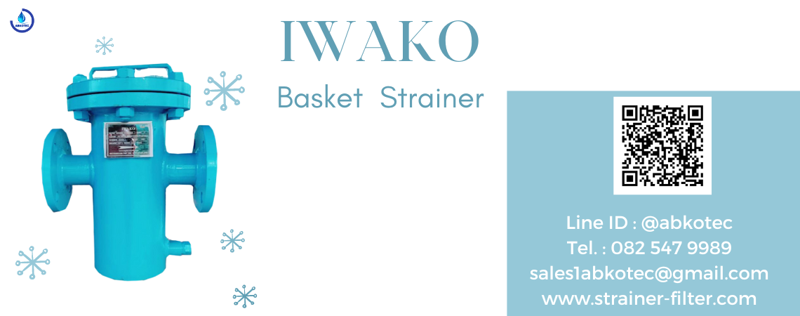 Basket strainer Carbon steel IWAKO - www.strainer-filter.com