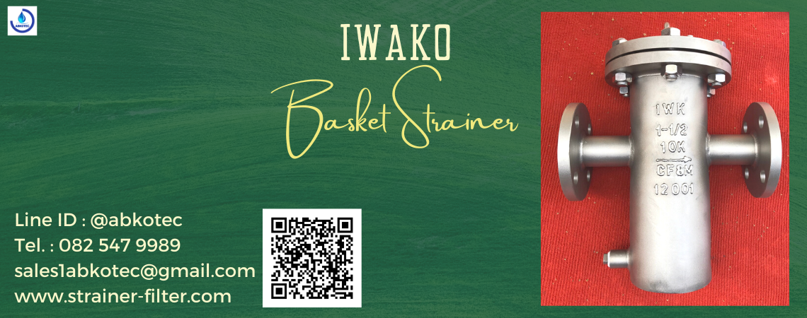 Basket strainer Process for water pump - Strainer Filter IWAKO