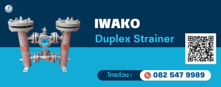 What is the difference between simplex and duplex strainer? - www.strainer-filter.com