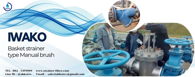 What is the difference between Y strainer and Basket strainer type manual brush? - www.strainer ...